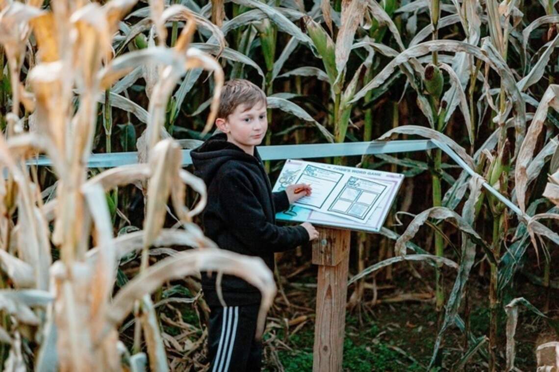 Explore fall fun on the Ohio Corn Maze Trail | Mahoning Matters
