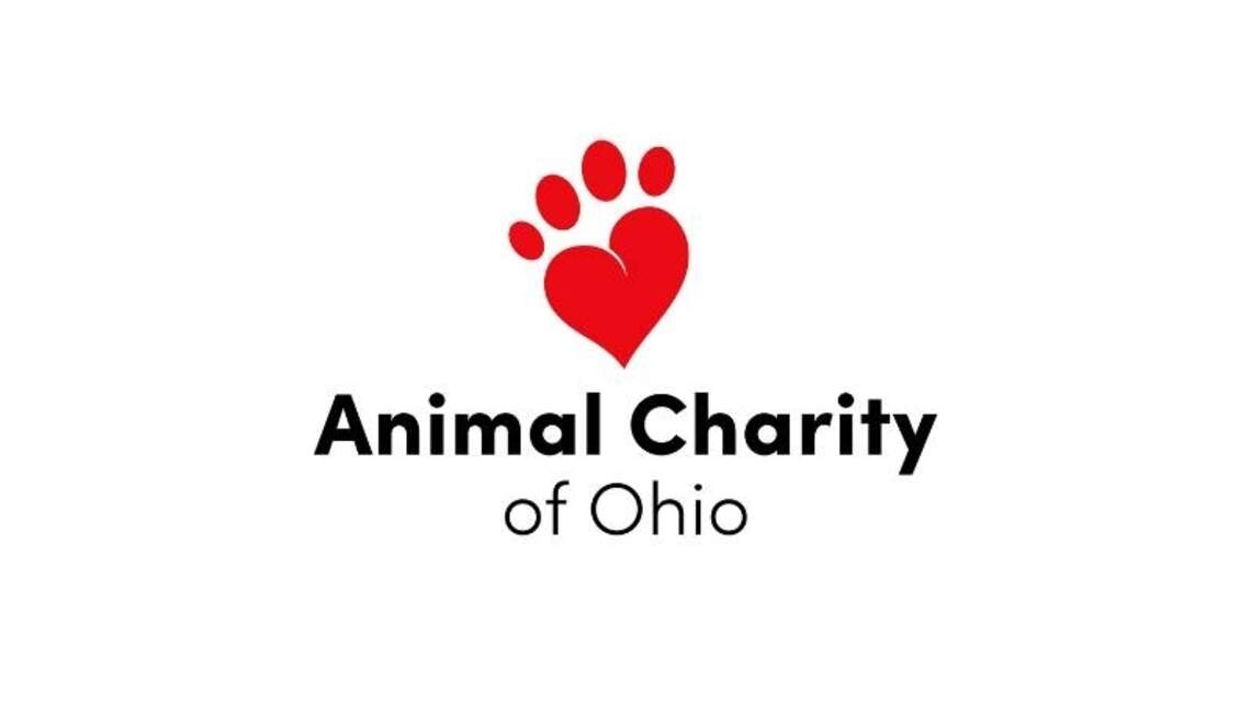Boardman dog abandoned; Animal Charity offers $1,500 reward | Mahoning ...